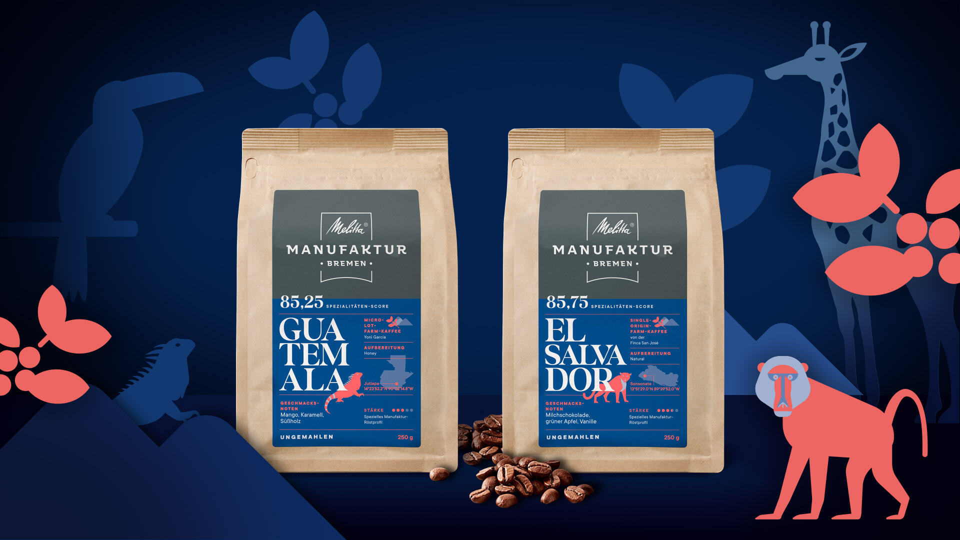 Melitta Manufaktur Coffee – Packaging Of The World