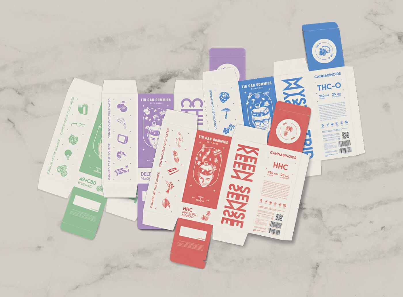 Cajas Desplegadas Packaging Of The World