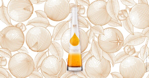 Zhi Zong – High-end camellia oil edible oil condiment – Packaging Of ...