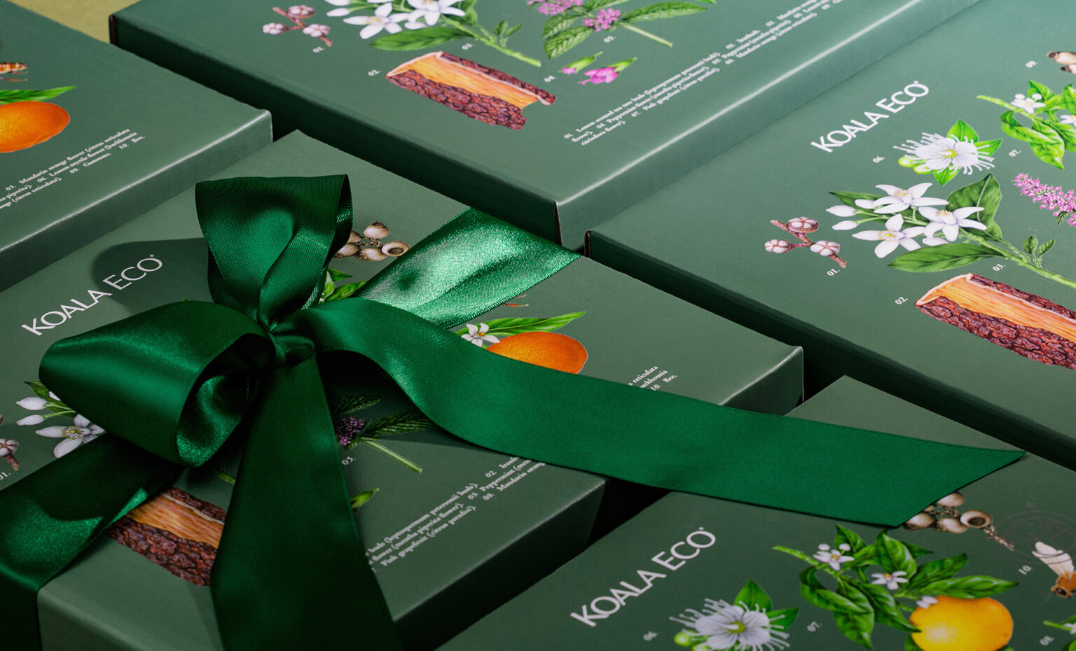 Koala Eco Gift Boxes – Packaging Of The World
