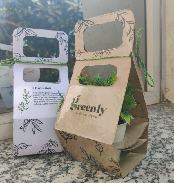Greenly- Packaging for small potted plants – Packaging Of The World
