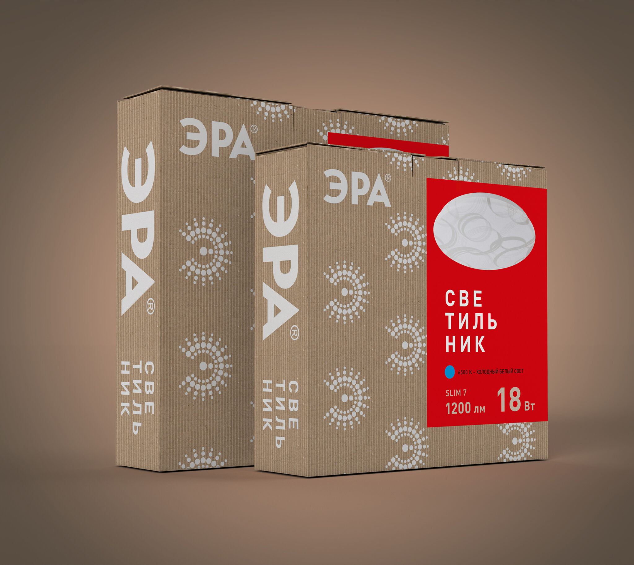 Eco-Smart Packaging Transformation for ERA Ceiling Lamps – Packaging Of ...