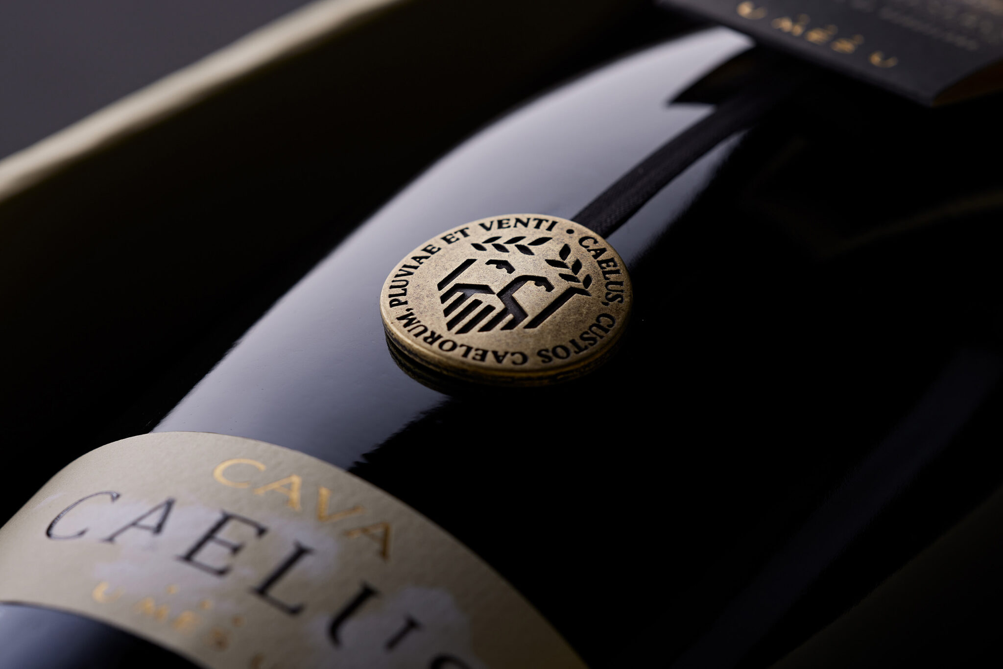 Caelus – Packaging Of The World