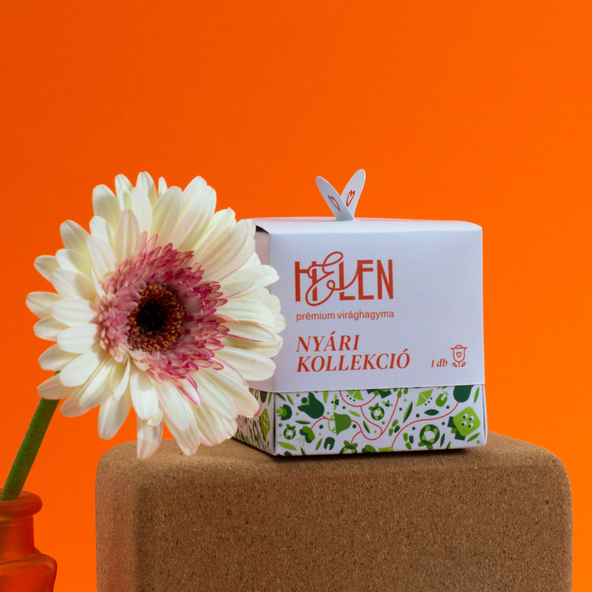 Helen flower bulbs – Packaging Of The World