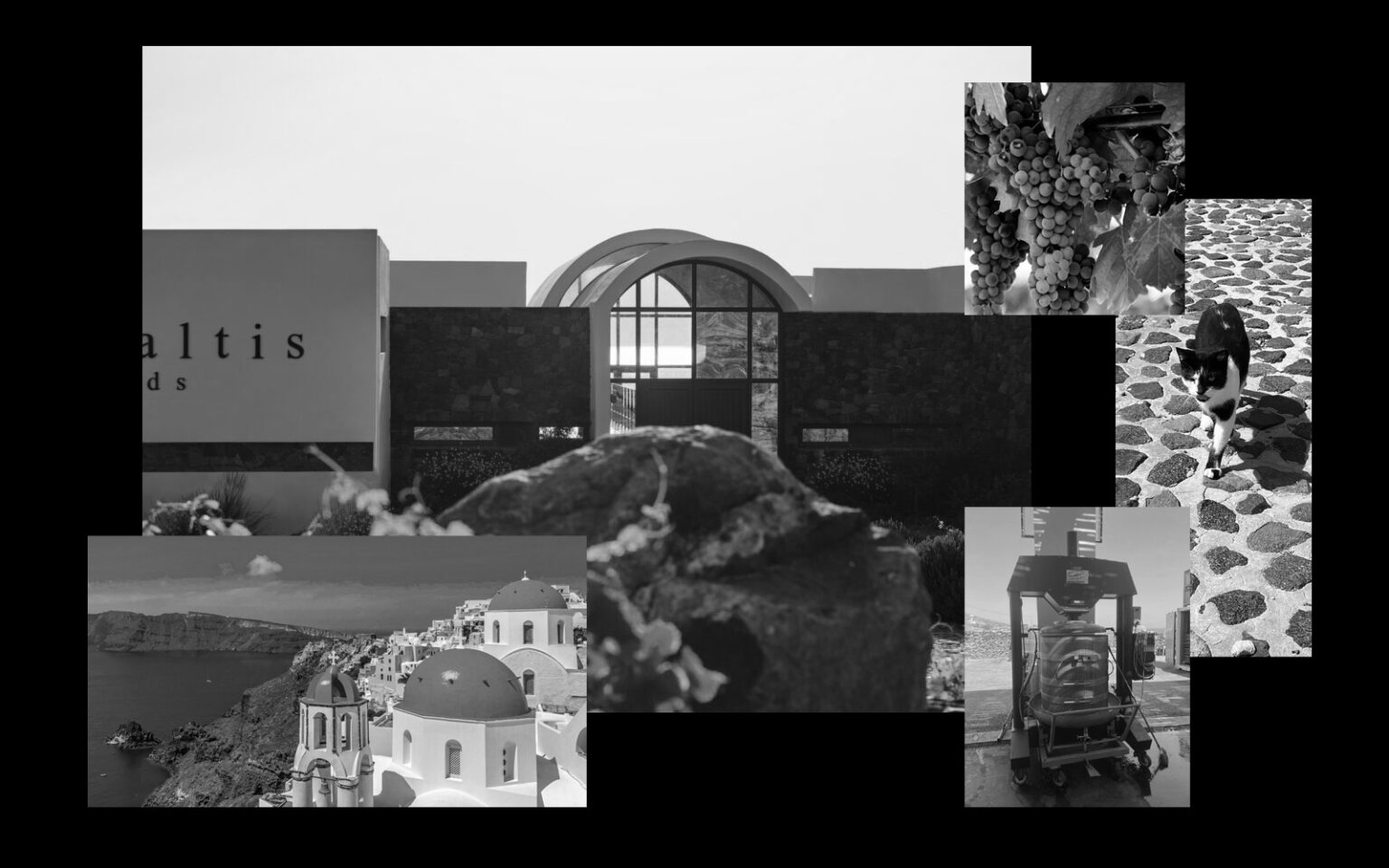 Kalupi – Packaging Of The World