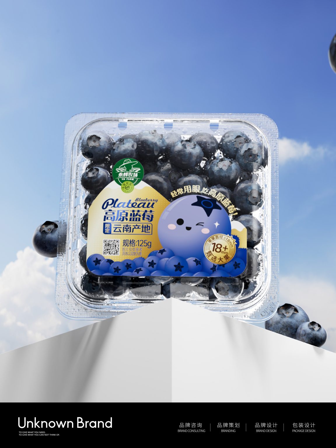 Yonghui Farm / Plateau Blueberry Series Packaging Design – Packaging Of ...