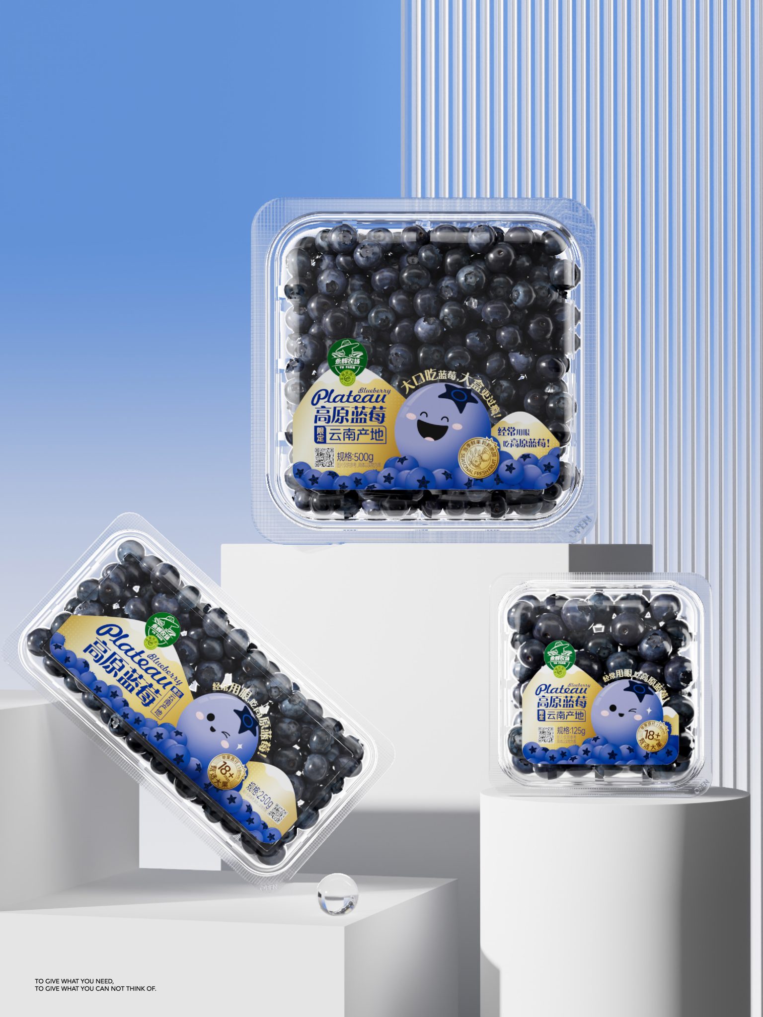 Yonghui Farm / Plateau Blueberry Series Packaging Design – Packaging Of ...