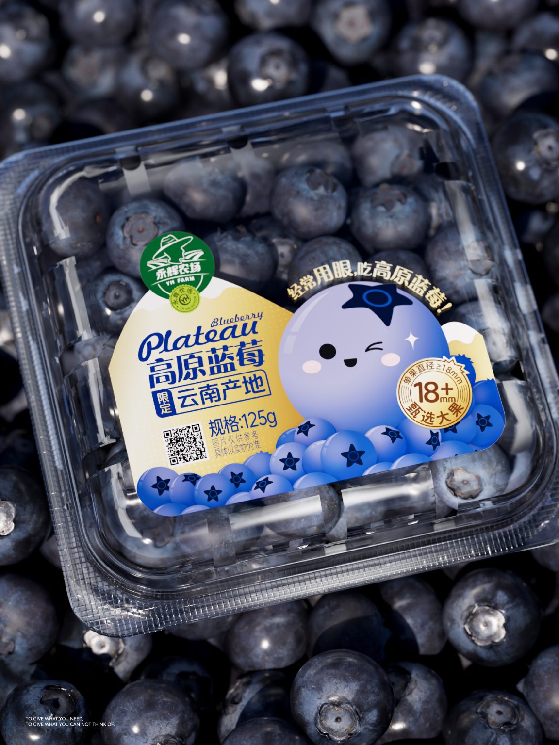 Yonghui Farm / Plateau Blueberry Series Packaging Design – Packaging Of ...