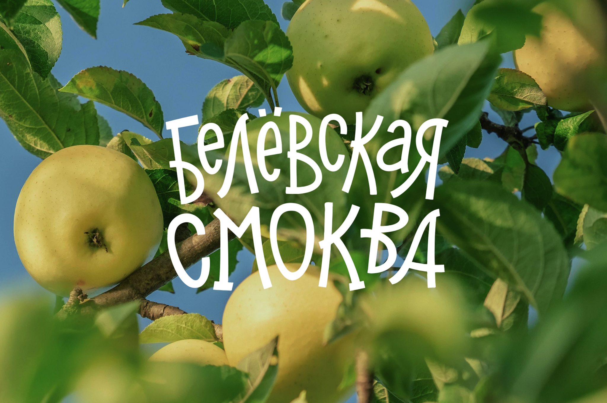 Belevskaya Smokva – Packaging Of The World