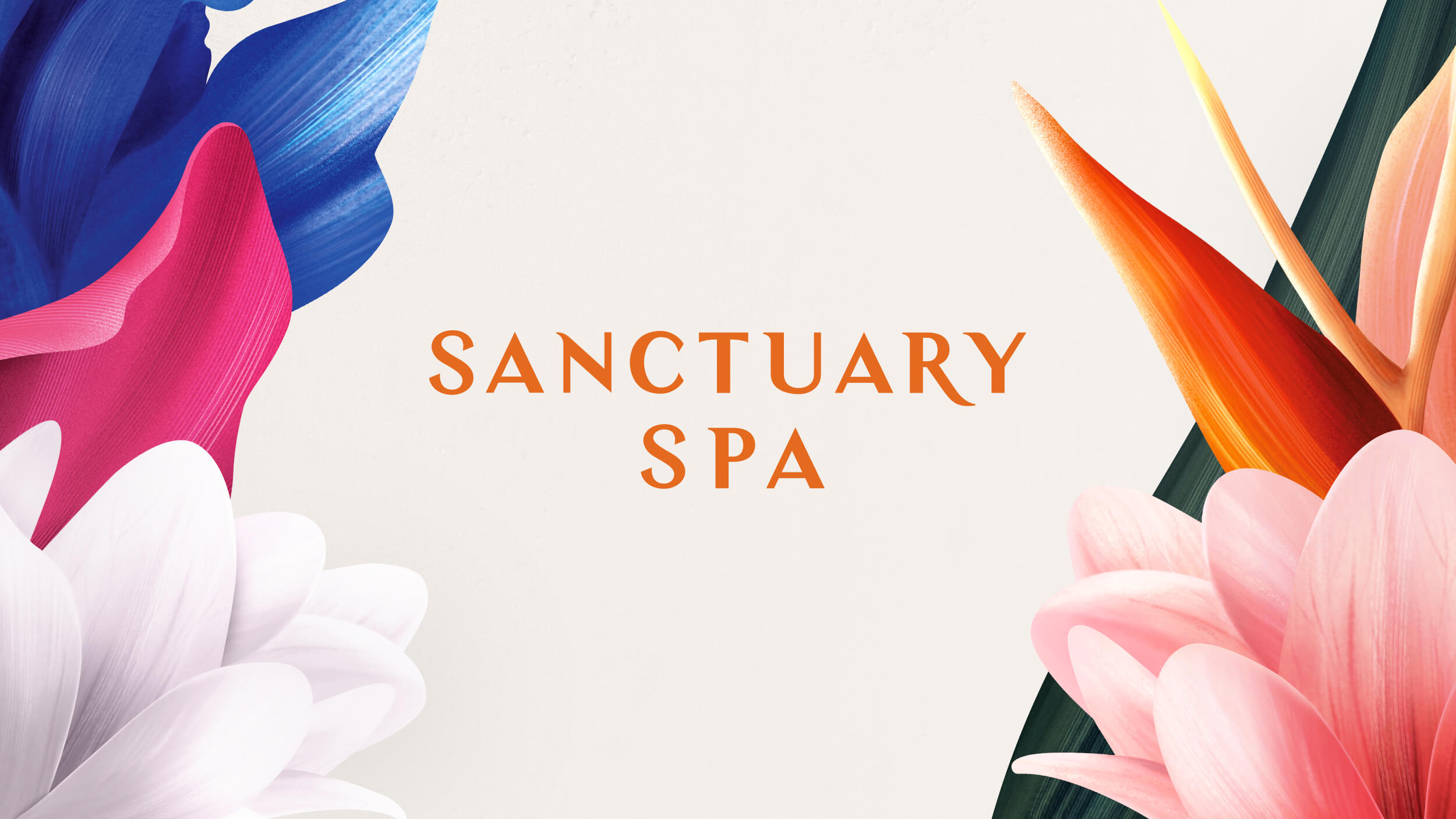 Sanctuary Gifting Redesign – Packaging Of The World
