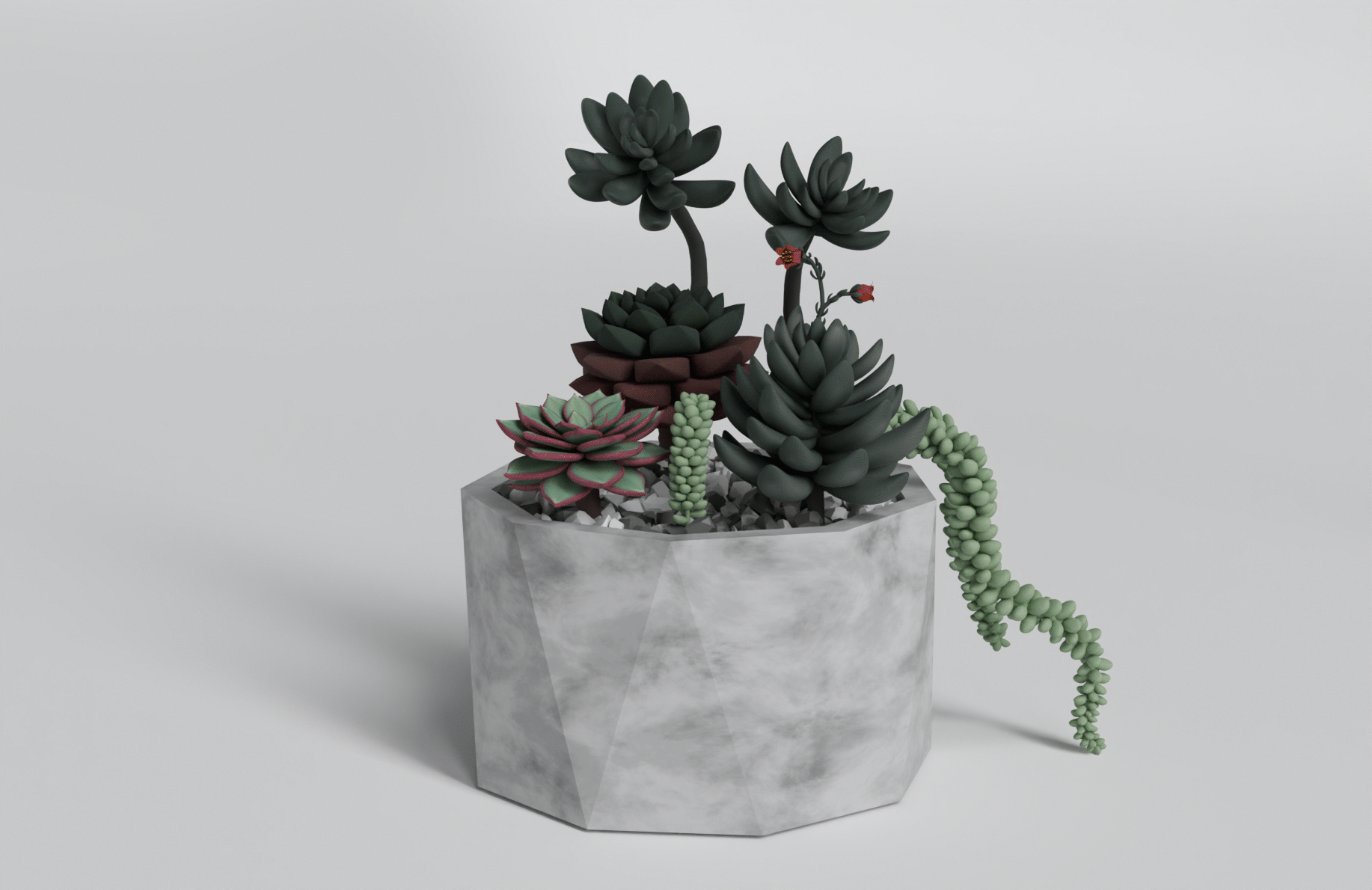 Grow& Build – Packaging Of The World
