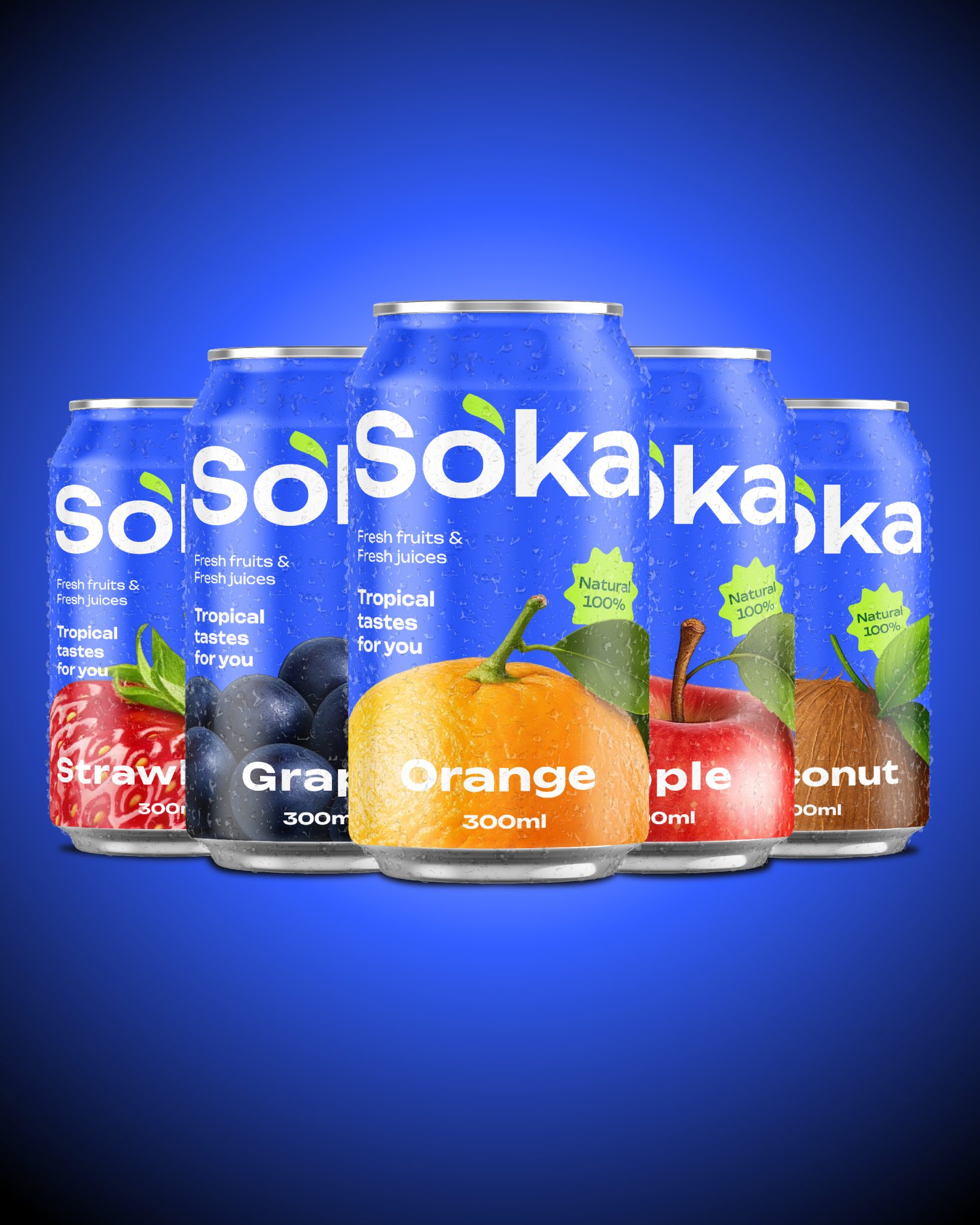 Soka – Canned Juice Concept – Packaging Of The World