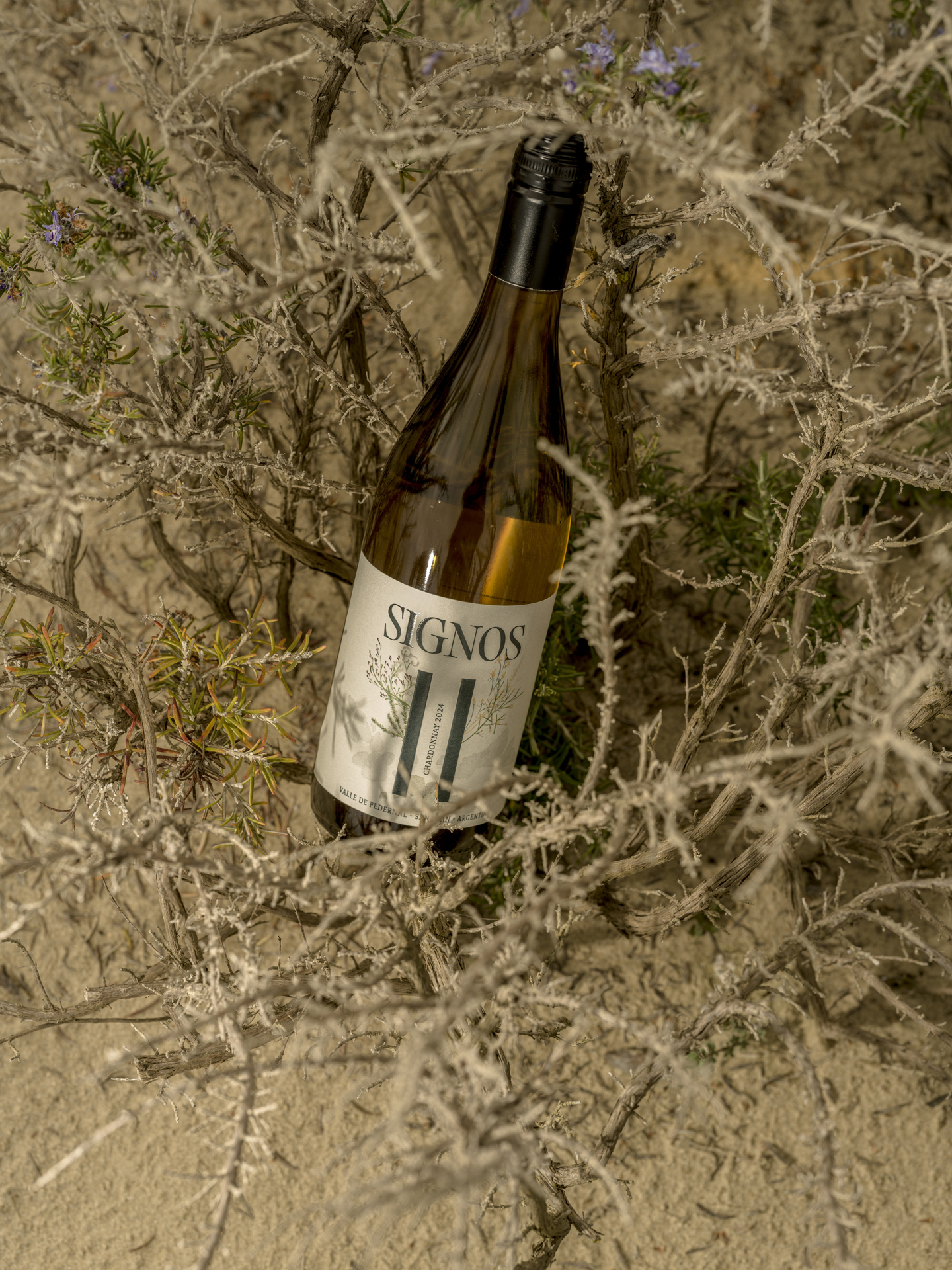 SIGNOS – Packaging Of The World