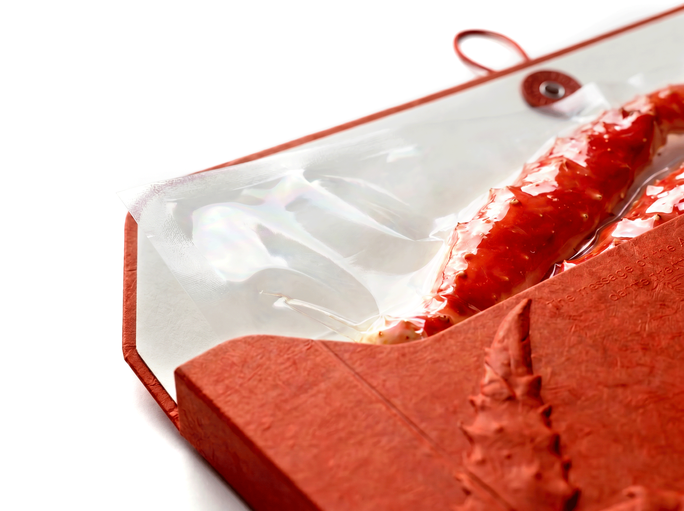 NORTHERN RED – Packaging Of The World